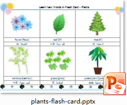Plant Identification Flash Cards